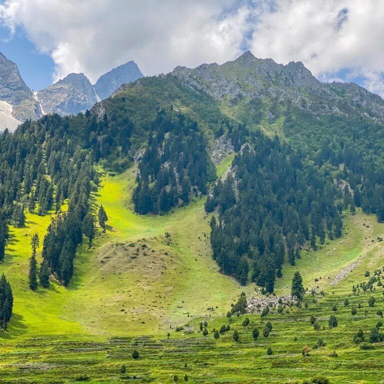 Naltar Valley Wonder: Naltar Lake and Beyond | AJKTOURS