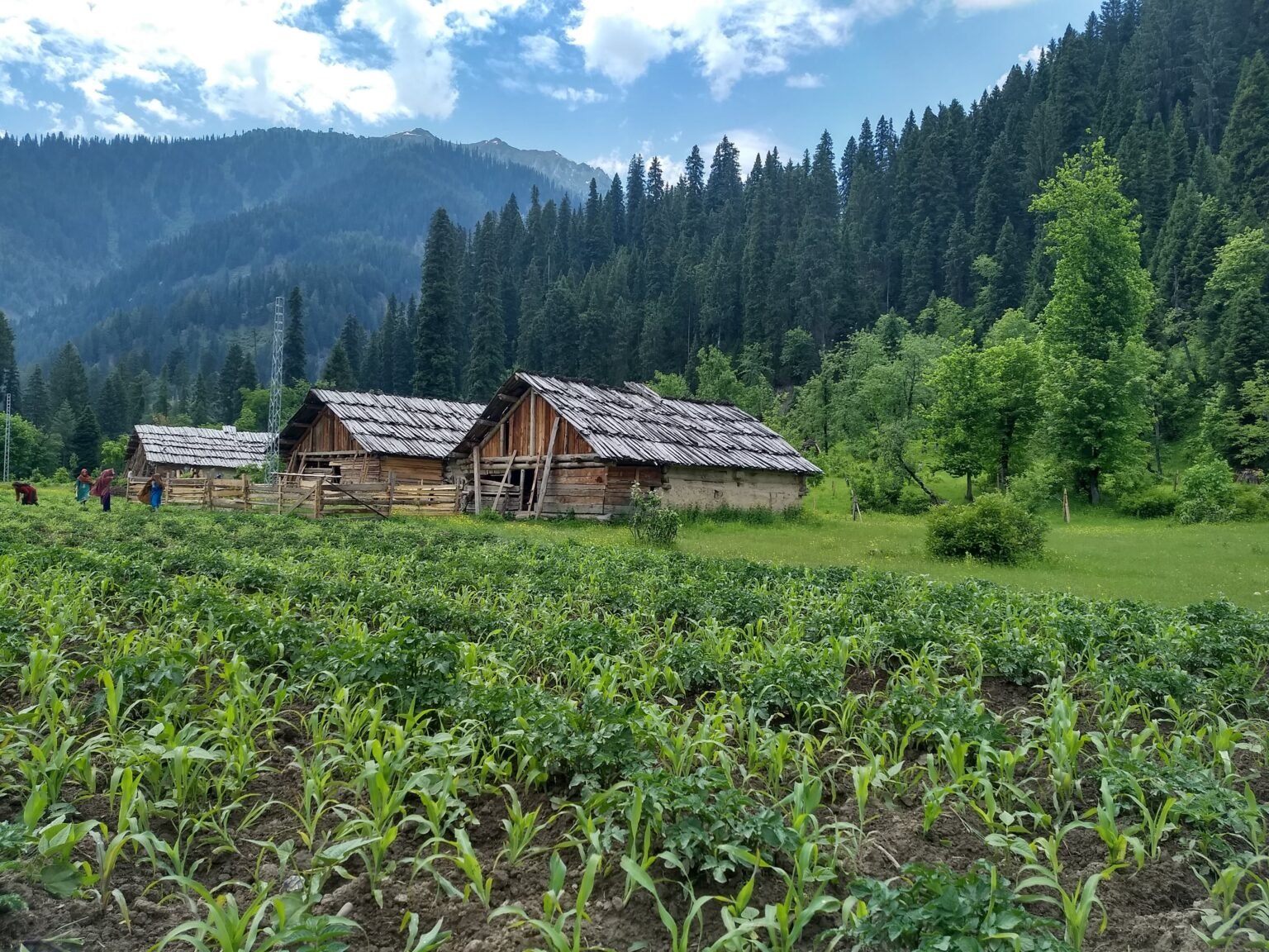 6 Days Neelum Valley Tour Package - AJK TOURS