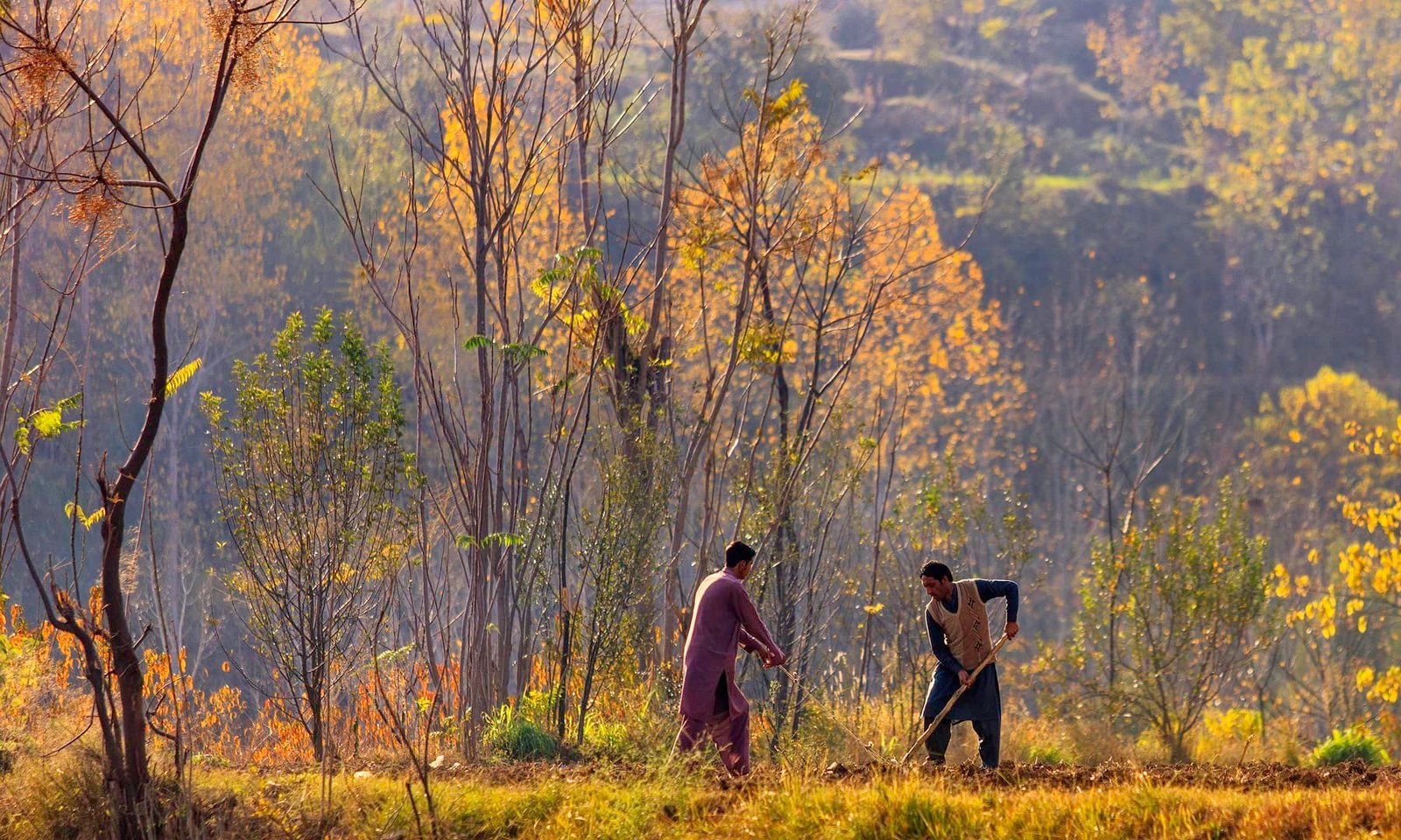 Discover the Best Time to Visit Swat - AJK TOURS